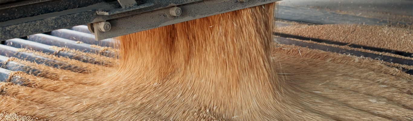 How It Works - Profume