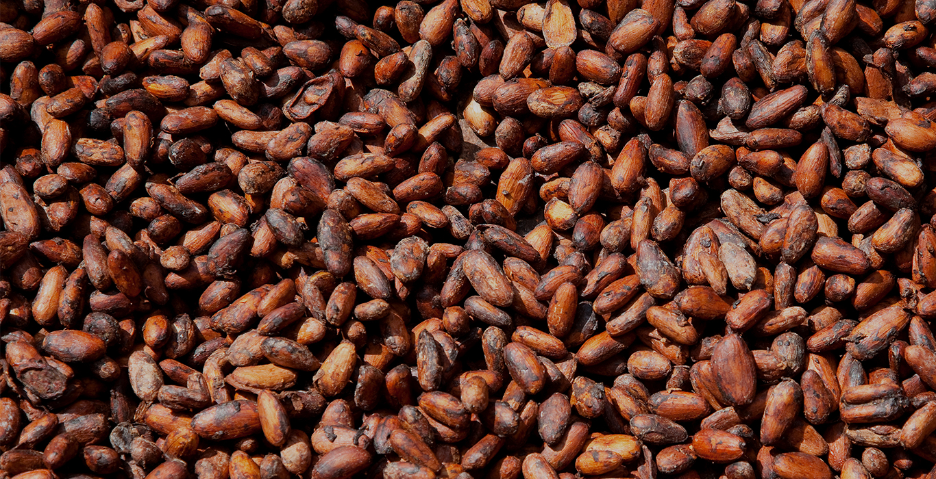 Food Preservation - Profume